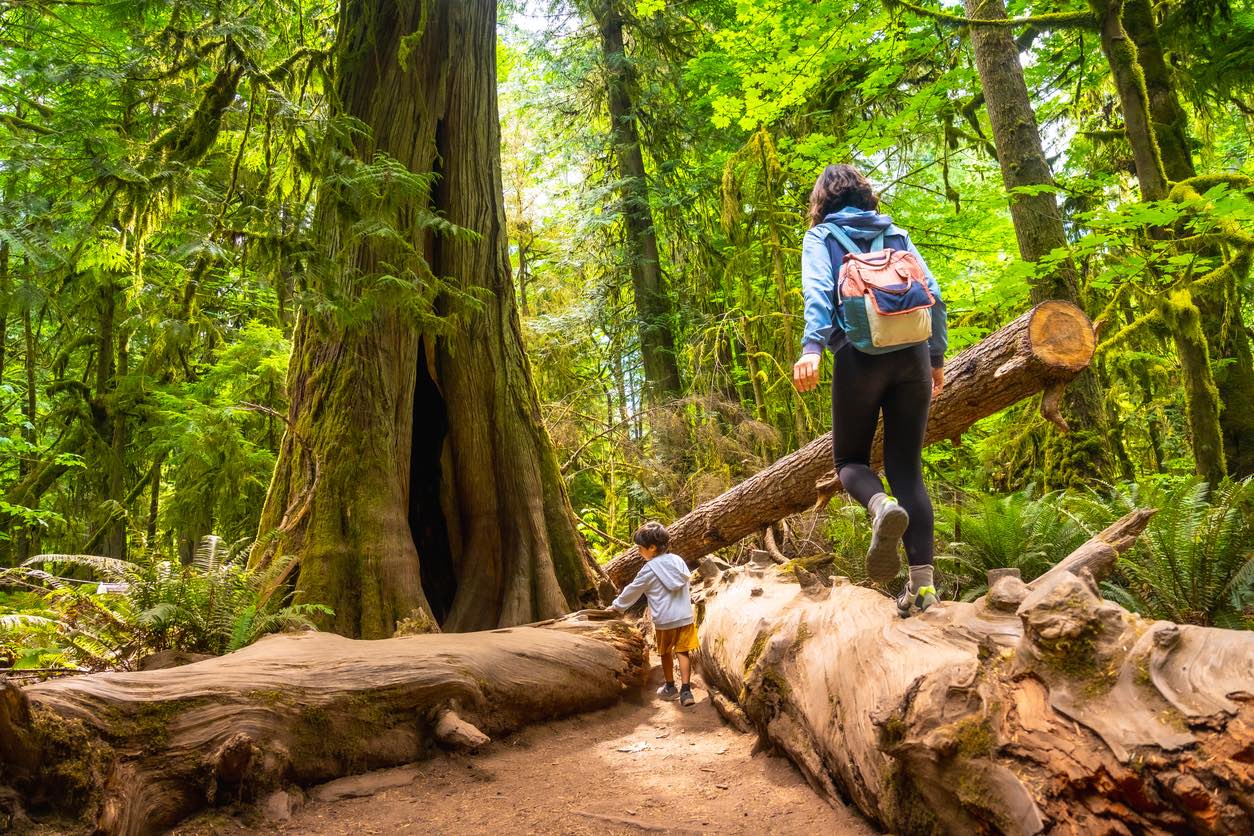 Home Vancouver Island News Events Travel Accommodation Adventure